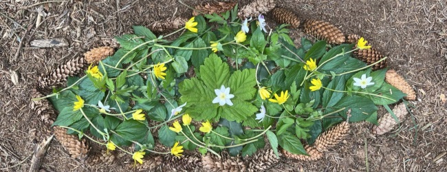 Lassa Skole - Land art