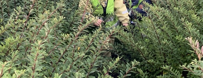 Bore skule - Mosetussene på tur i uke 39