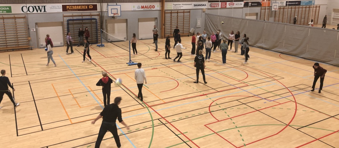 Skolemiljø - Havlimyra skole