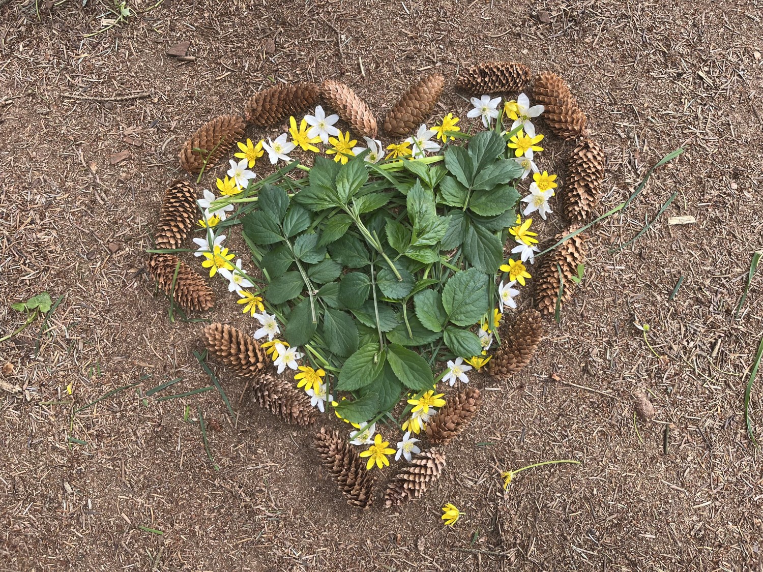 Lassa Skole - Land art