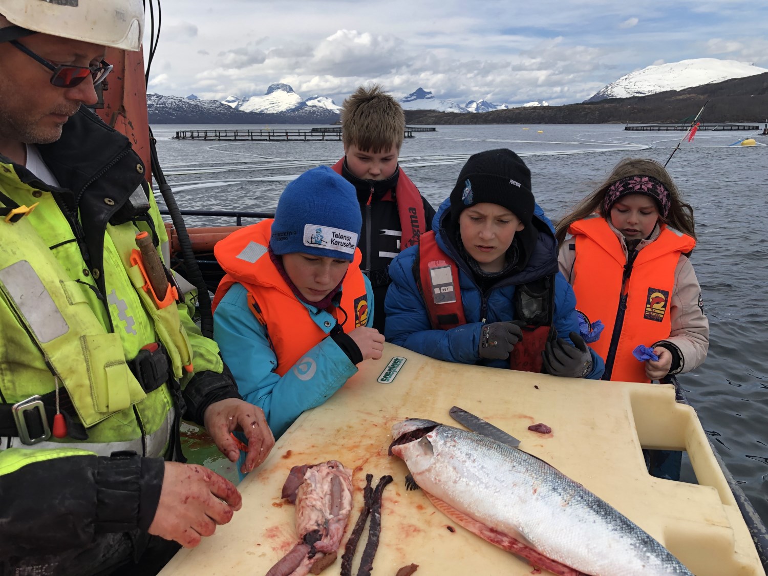 Røsvik skole - Besøk hos MOWI, "Fra hav til bord"