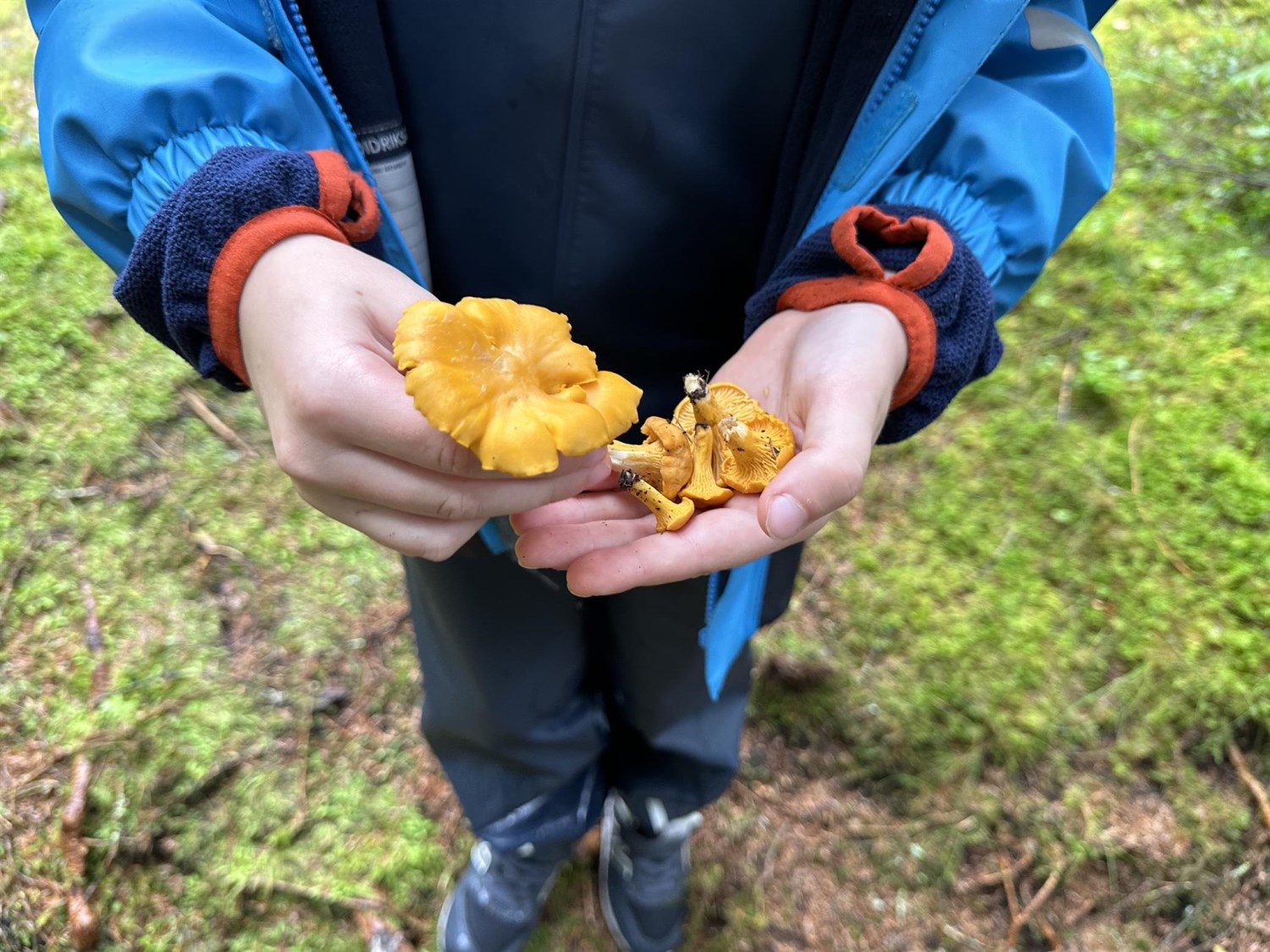 Grasdal Skule - SOPPTEMBER!