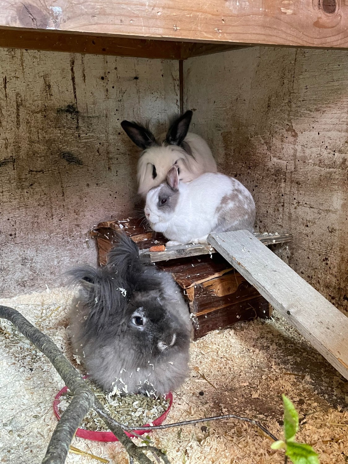 Grasdal Skule - Uteskule