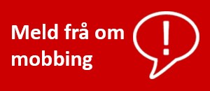 Bore skule - Nyheiter